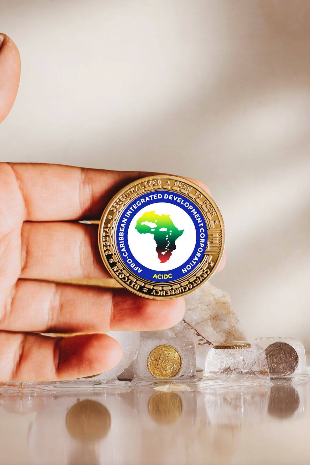 Afro-Caribbean Integrated Development Corporation – ACIDC