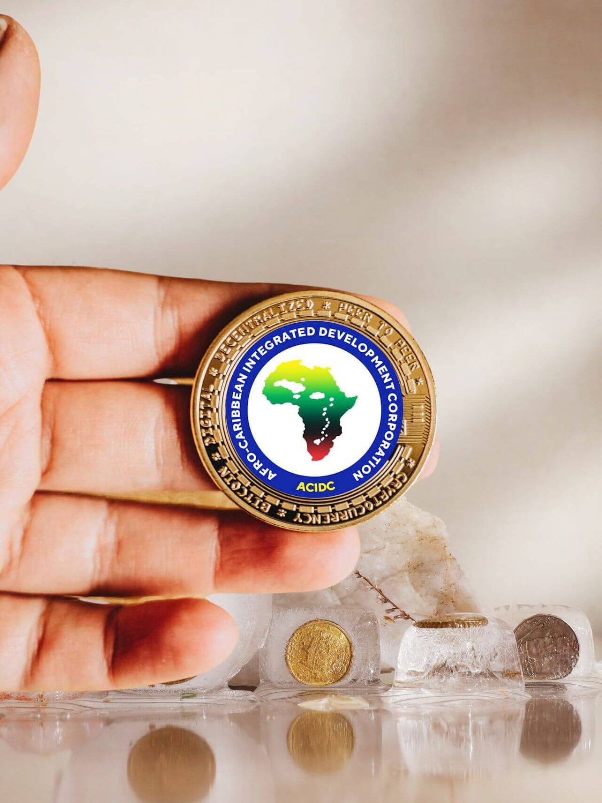 Afro-Caribbean Integrated Development Corporation – ACIDC